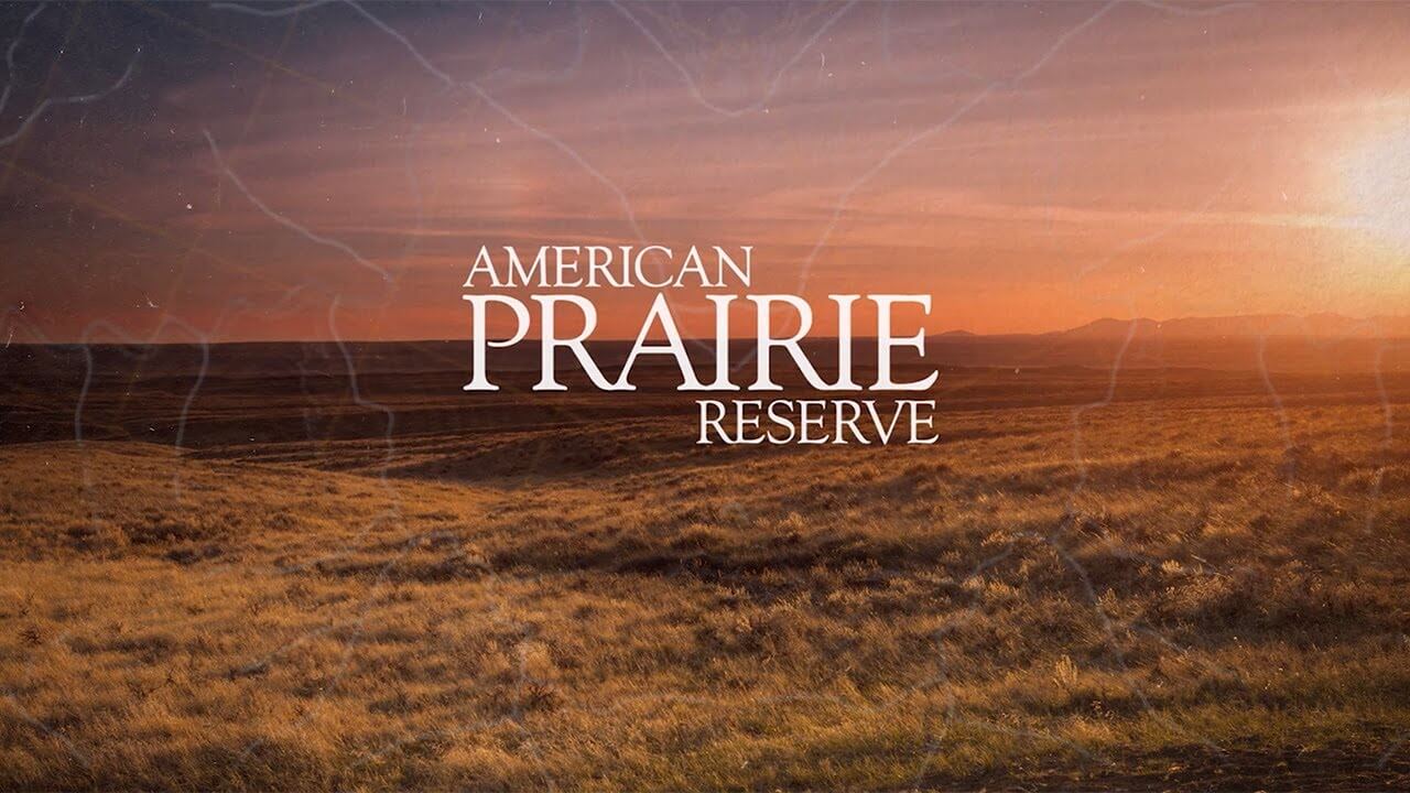 This is American Prairie | American Prairie