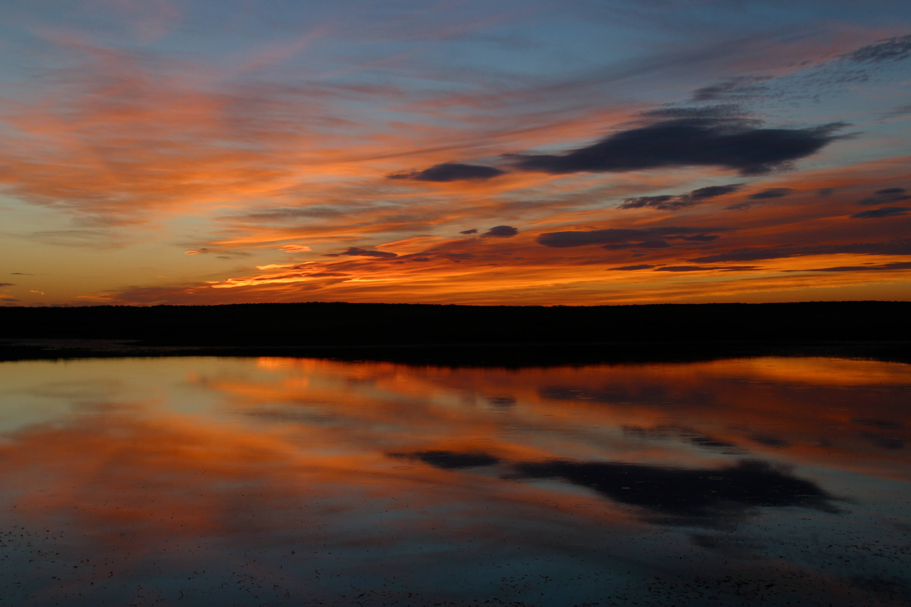 Bill Hilf named Chair of American Prairie board | American Prairie
